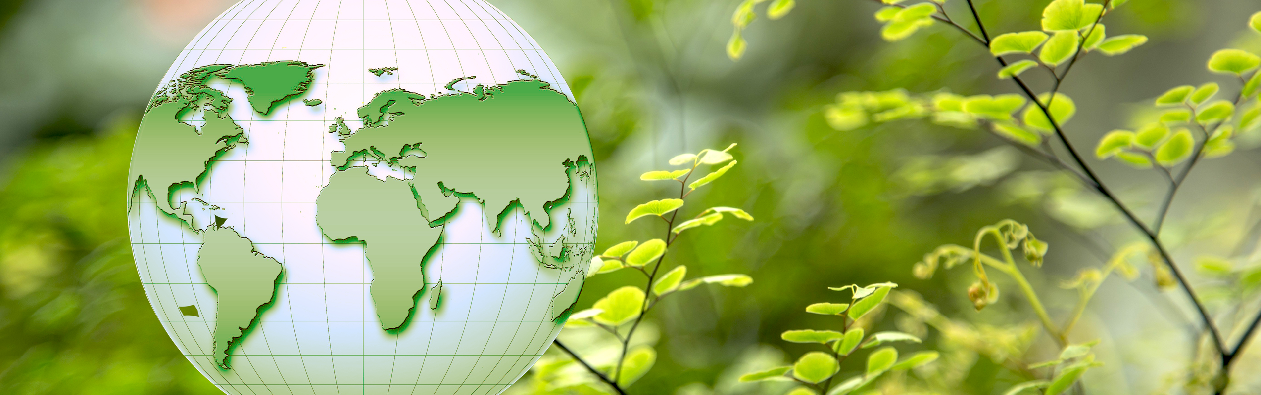 NIBE Industrier AB - NIBE Industrier AB