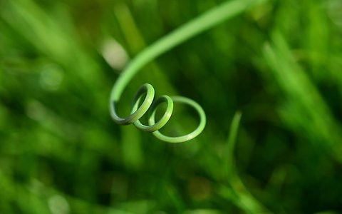 Climate Solutions, Element und Stoves - NIBE Group Energyefficency