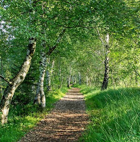 NIBE Our Values - NIBE Group Energyefficency