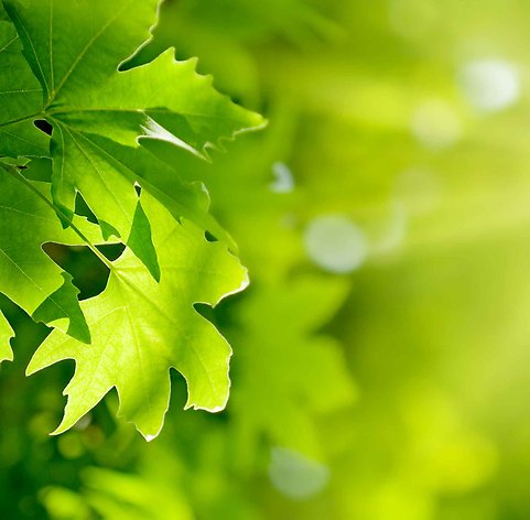 NIBE Business Principles - NIBE Group Energyefficency