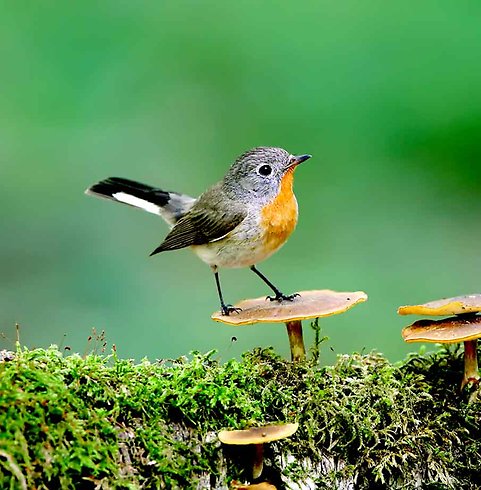 NIBE Our Values - NIBE Group Energyefficency